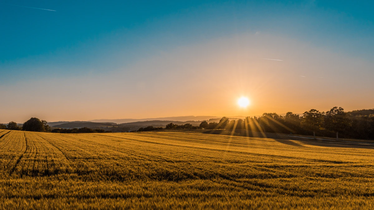 Best Land & Property for Off-Grid Living — 325 verified resources ...